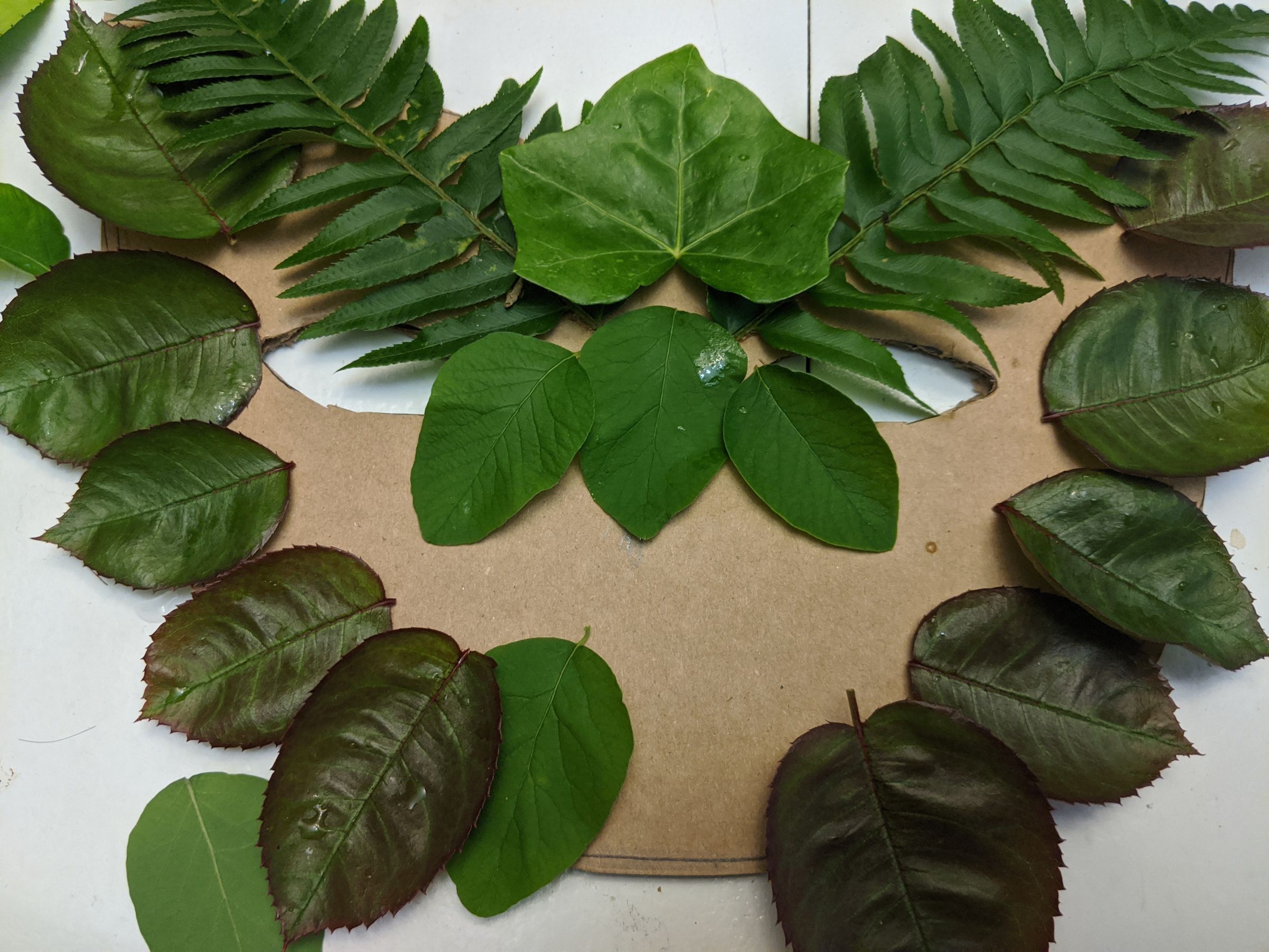 Green Man Mask : 10 Steps (with Pictures) - Instructables