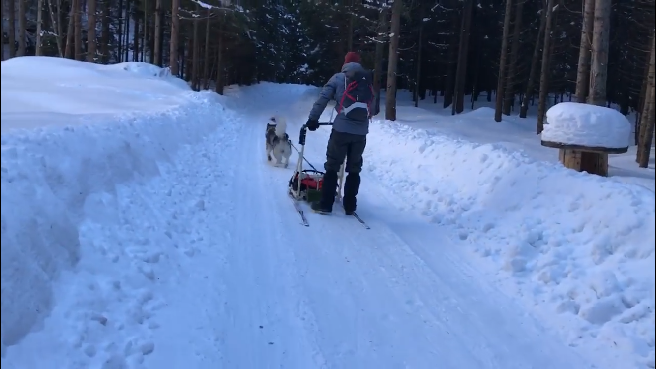 Homemade Dogsled (kicksled) : 8 Steps (with Pictures) - Instructables