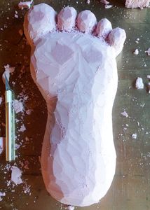 Bigfoot Footprint Cast : 7 Steps (with Pictures) - Instructables