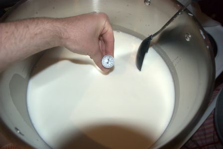Making Cheese at Home : 15 Steps (with Pictures) - Instructables