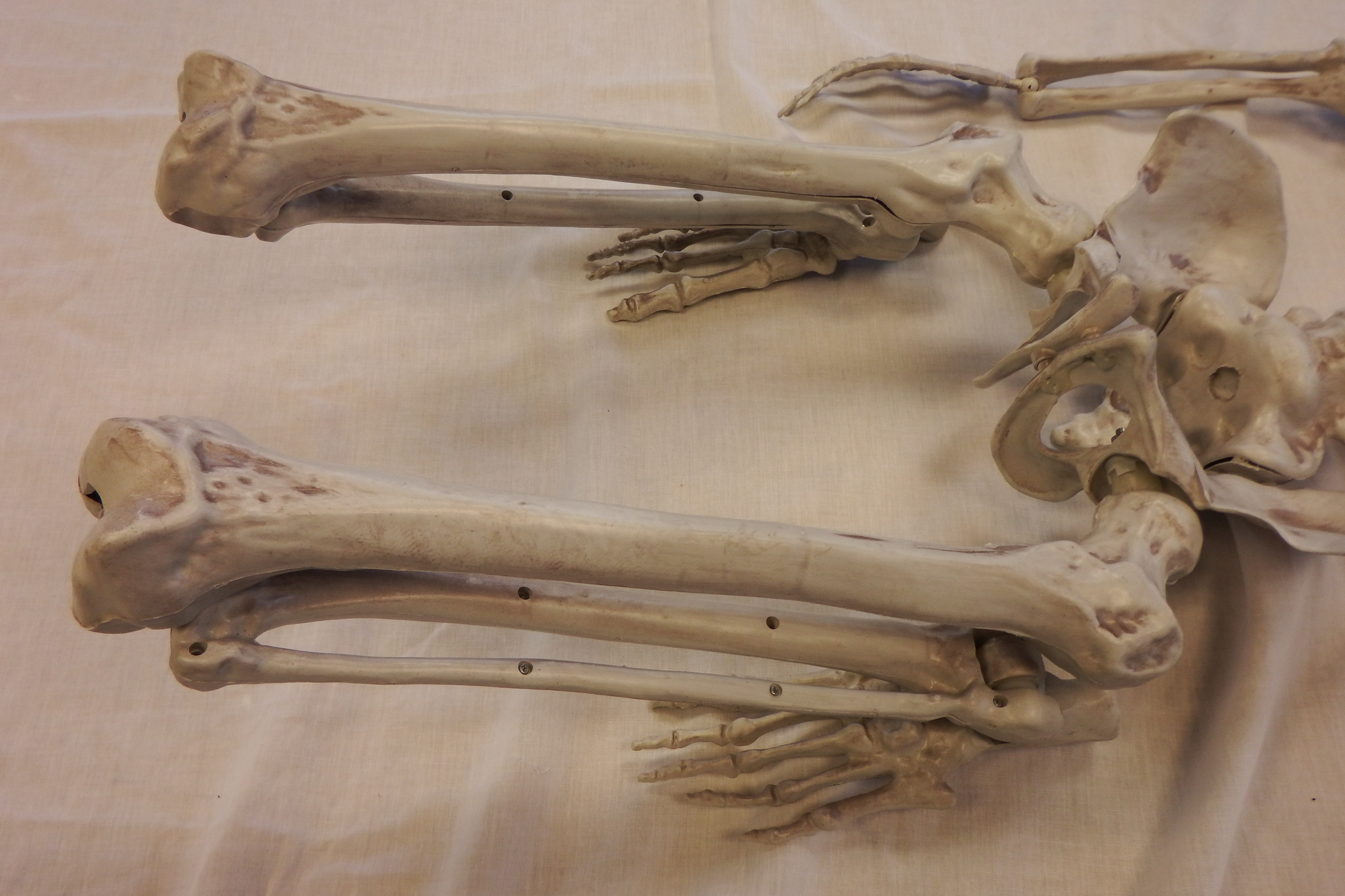 Hack and Repair Plastic Halloween Skeletons : 9 Steps - Instructables