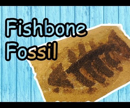 Fish Fossil : 5 Steps (with Pictures) - Instructables