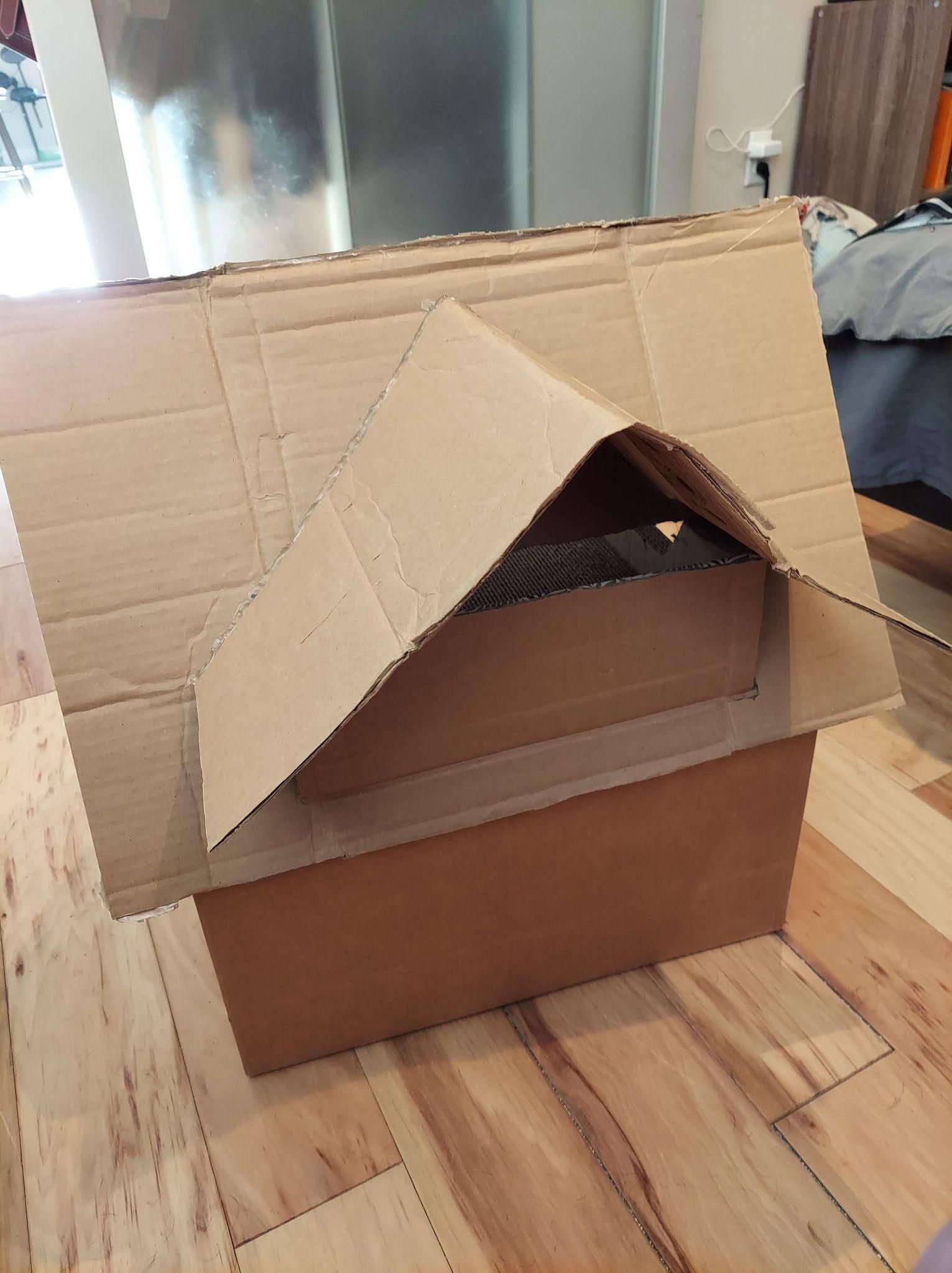 Cardboard Gingerbread Cat House : 12 Steps (with Pictures) - Instructables