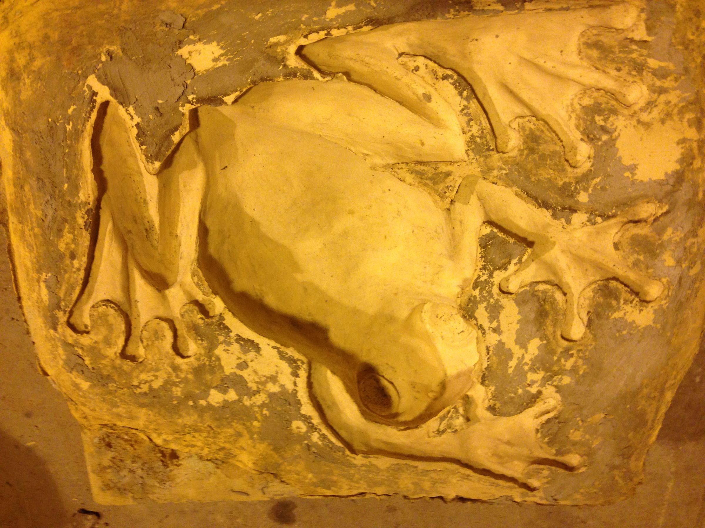 Cast Concrete Lizard and Frog - Instructables