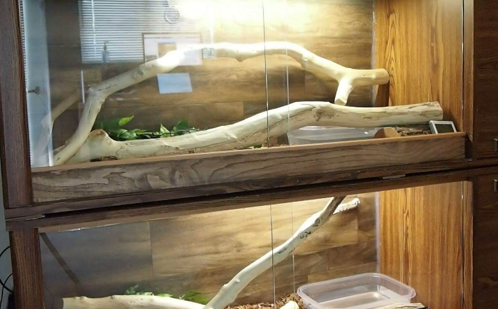 DIY Snake Cage : 12 Steps (with Pictures) - Instructables