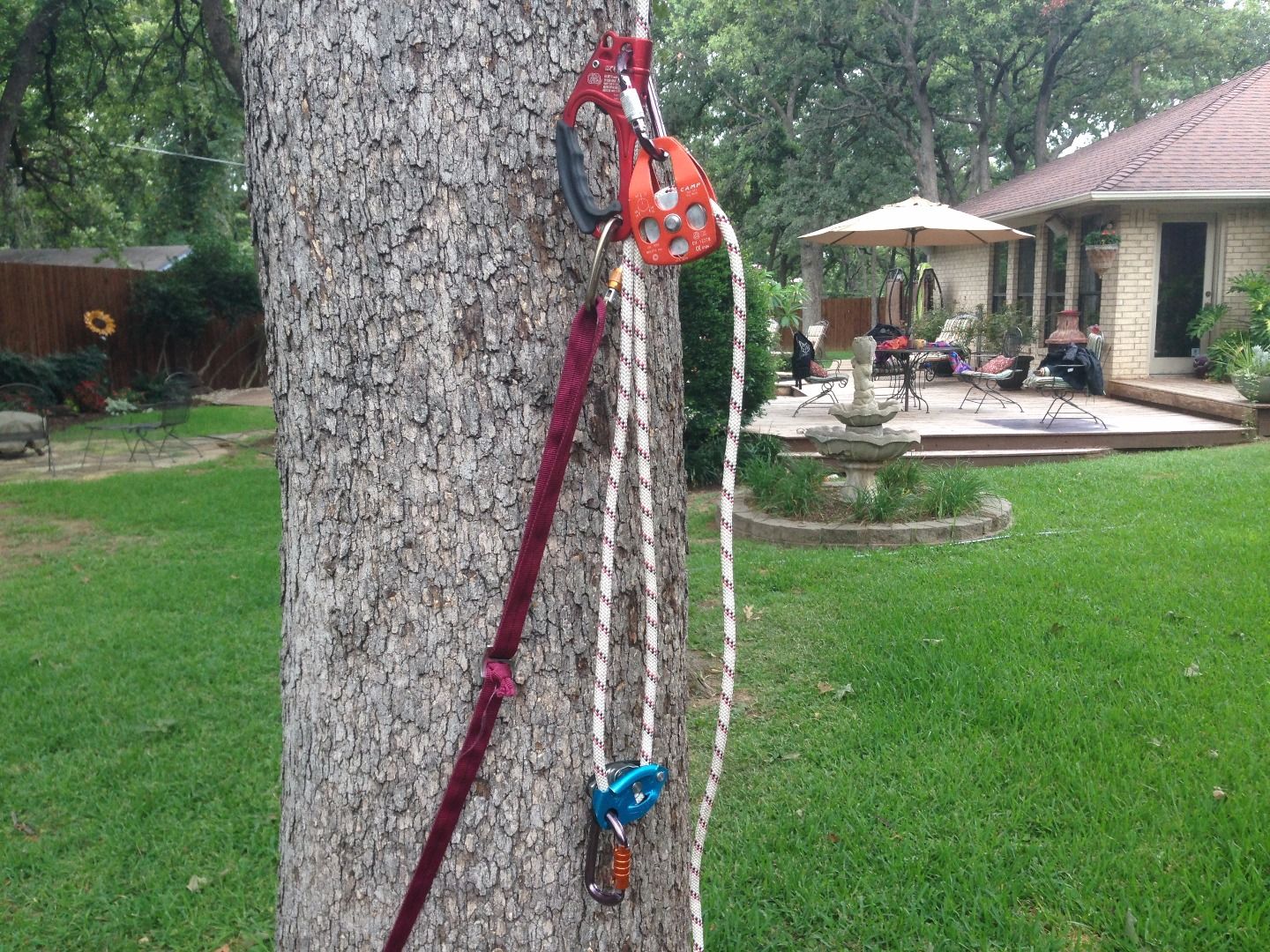 Tree Net : 5 Steps (with Pictures) - Instructables