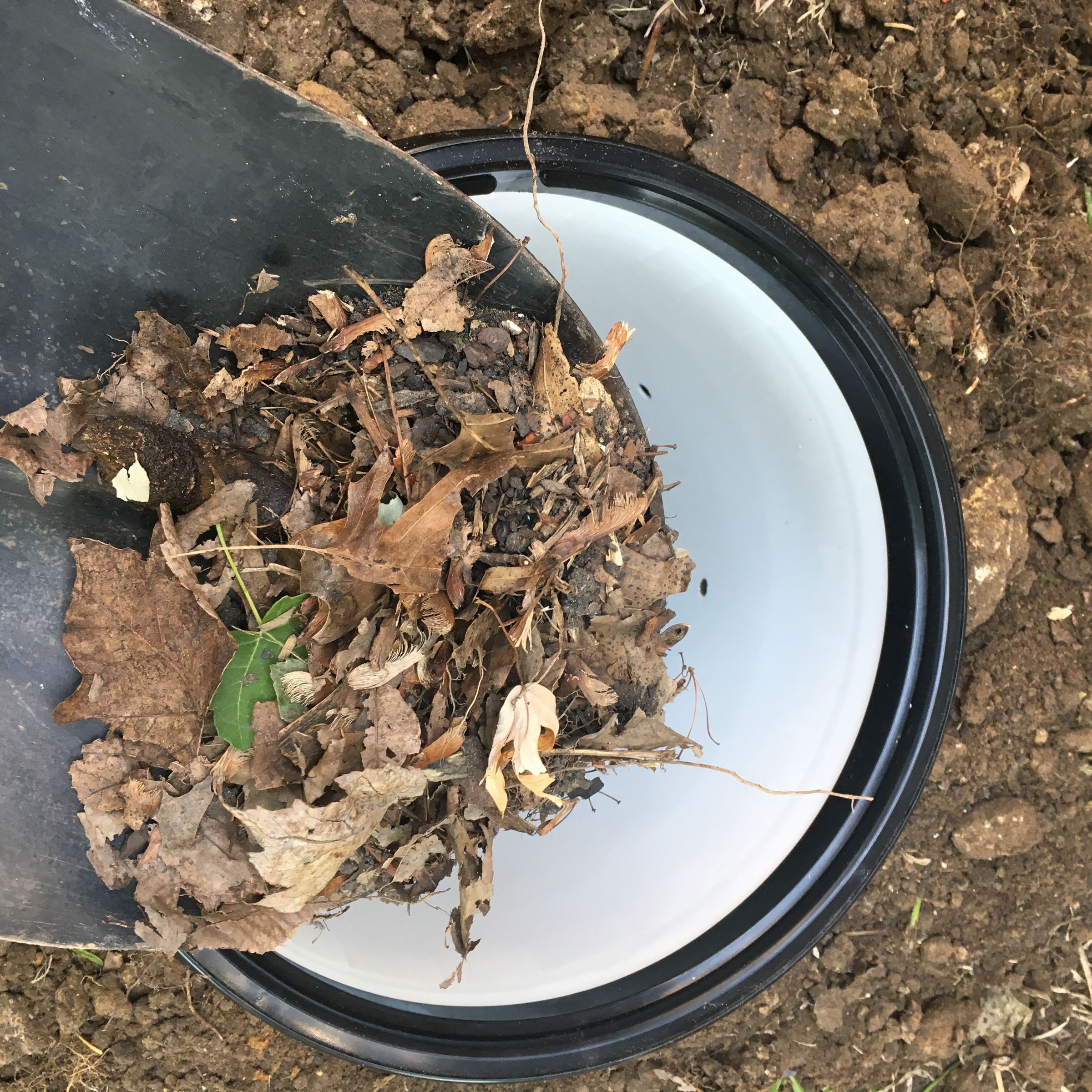 DIY Doggie Septic System With Natural Starter : 14 Steps (with Pictures ...