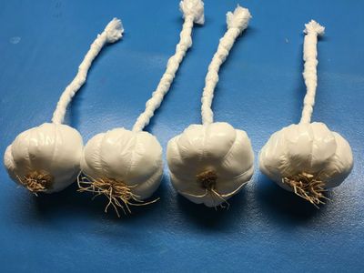 How to Make Fake Garlic With Plastic Bags : 6 Steps (with Pictures ...
