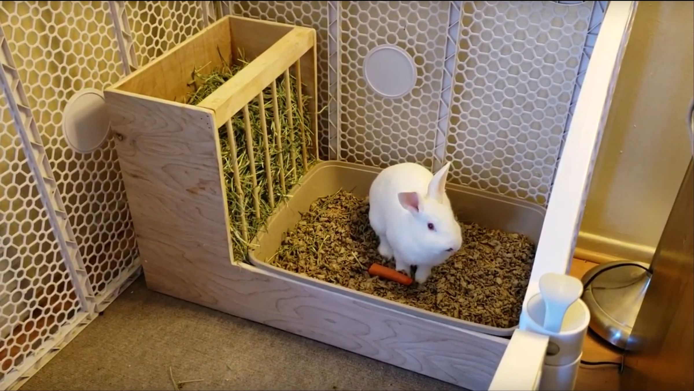 Rabbit Hay Feeder and Litter Box : 5 Steps - Instructables