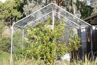 Fruit Tree Cage : 8 Steps (with Pictures) - Instructables