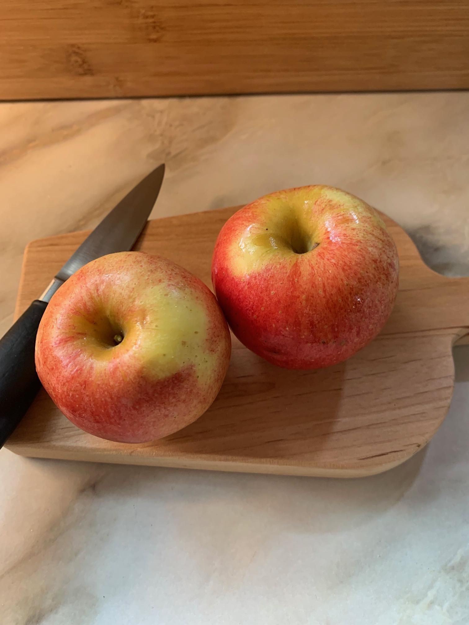 Treats for Our Beagles : 15 Steps (with Pictures) - Instructables