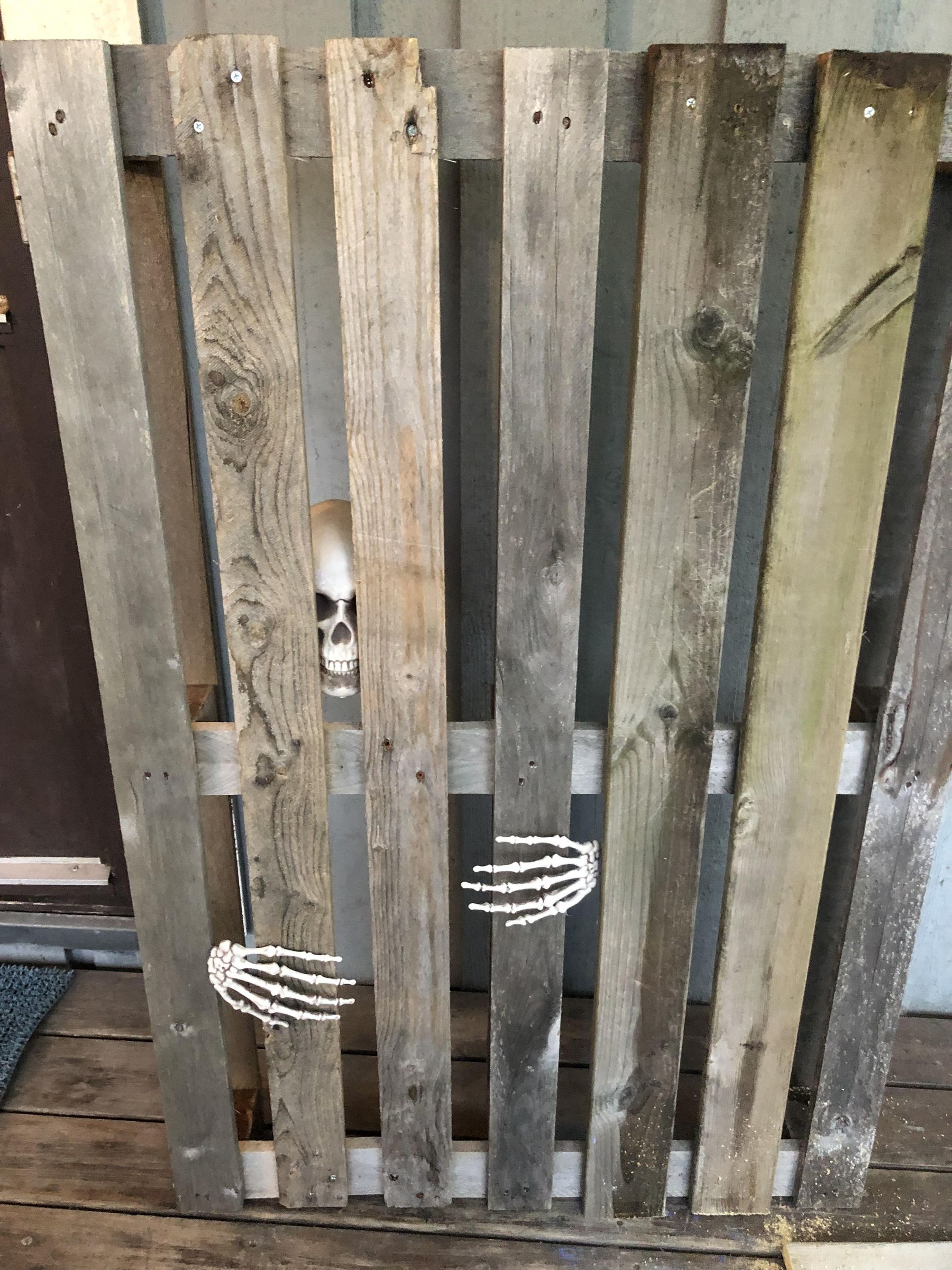 Caged Skeleton : 8 Steps (with Pictures) - Instructables