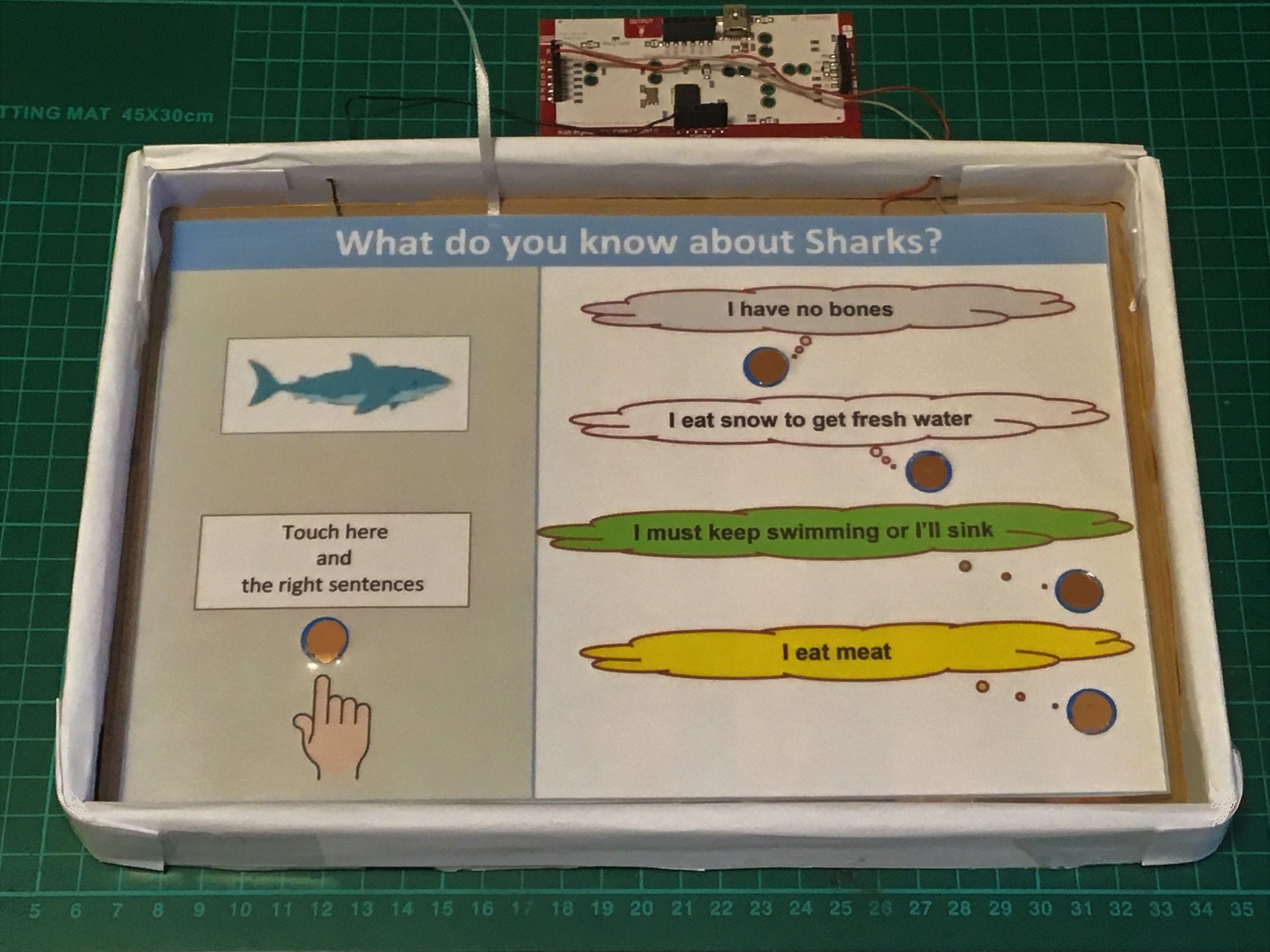 Animal Quiz Game : 4 Steps (with Pictures) - Instructables