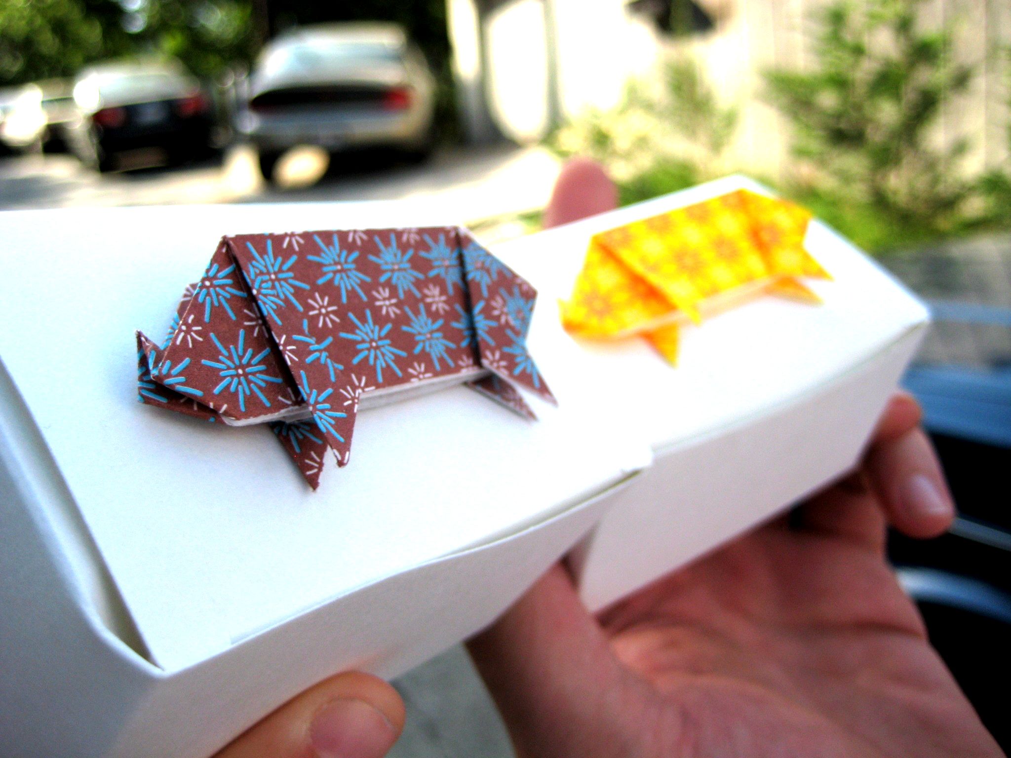 Build a Caja China ~ Roast a Pig in a Box : 10 Steps (with Pictures ...