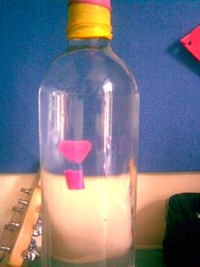 How to Make a Cartesian Diver : 5 Steps - Instructables