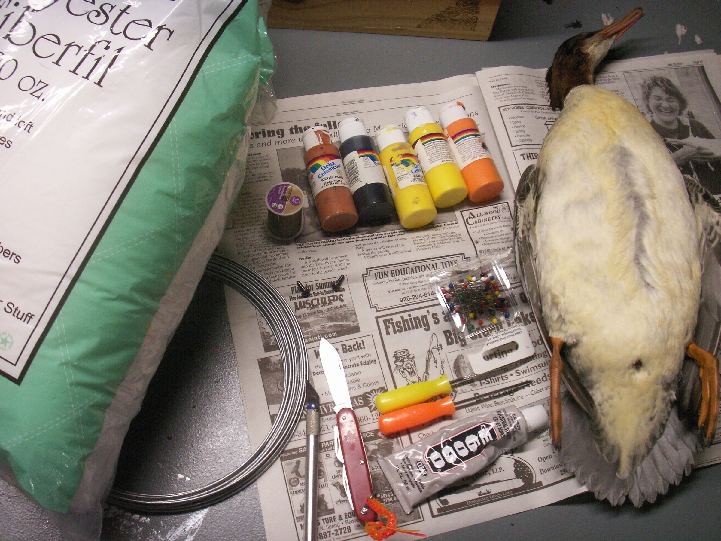 Duck Taxidermy : 14 Steps - Instructables