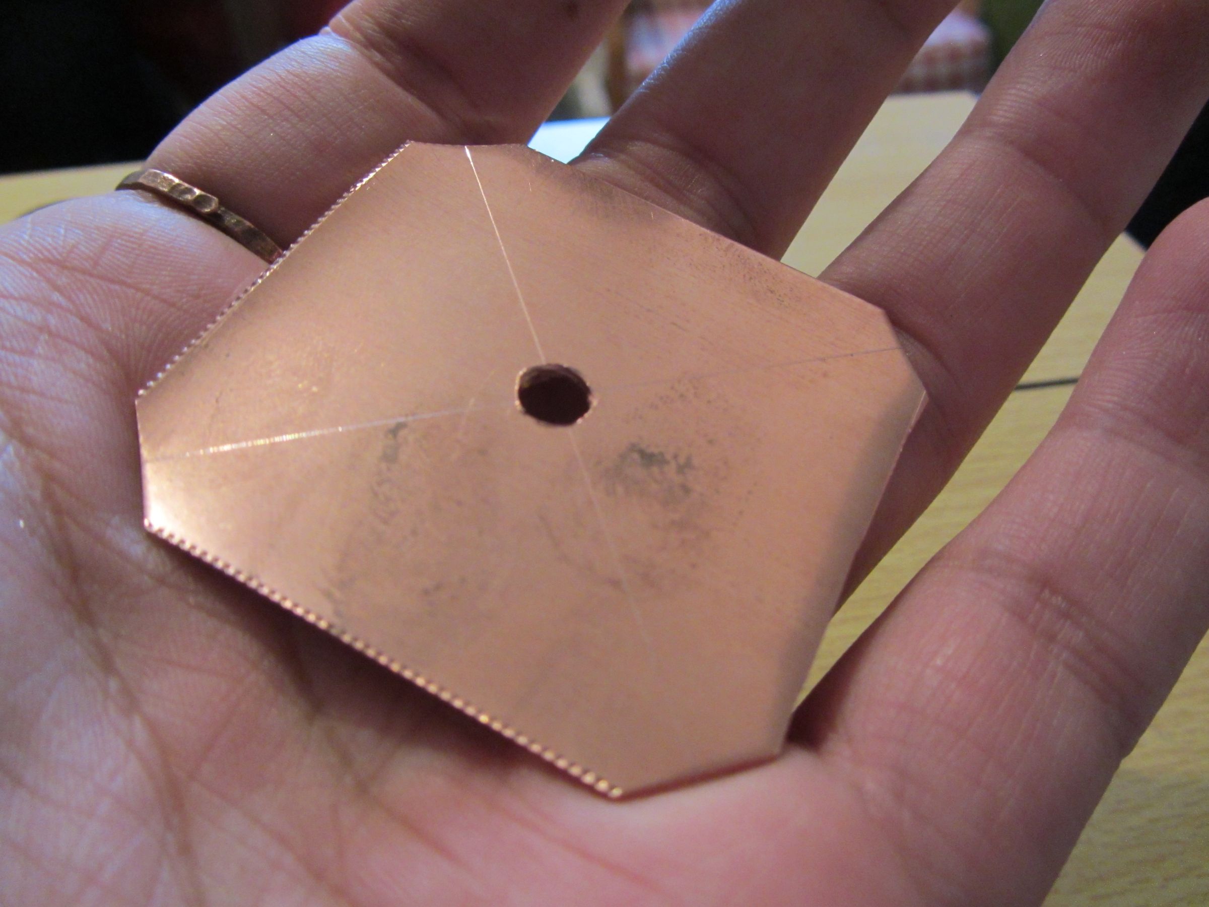 Copper Rose - an Everlasting Flower! : 11 Steps (with Pictures ...