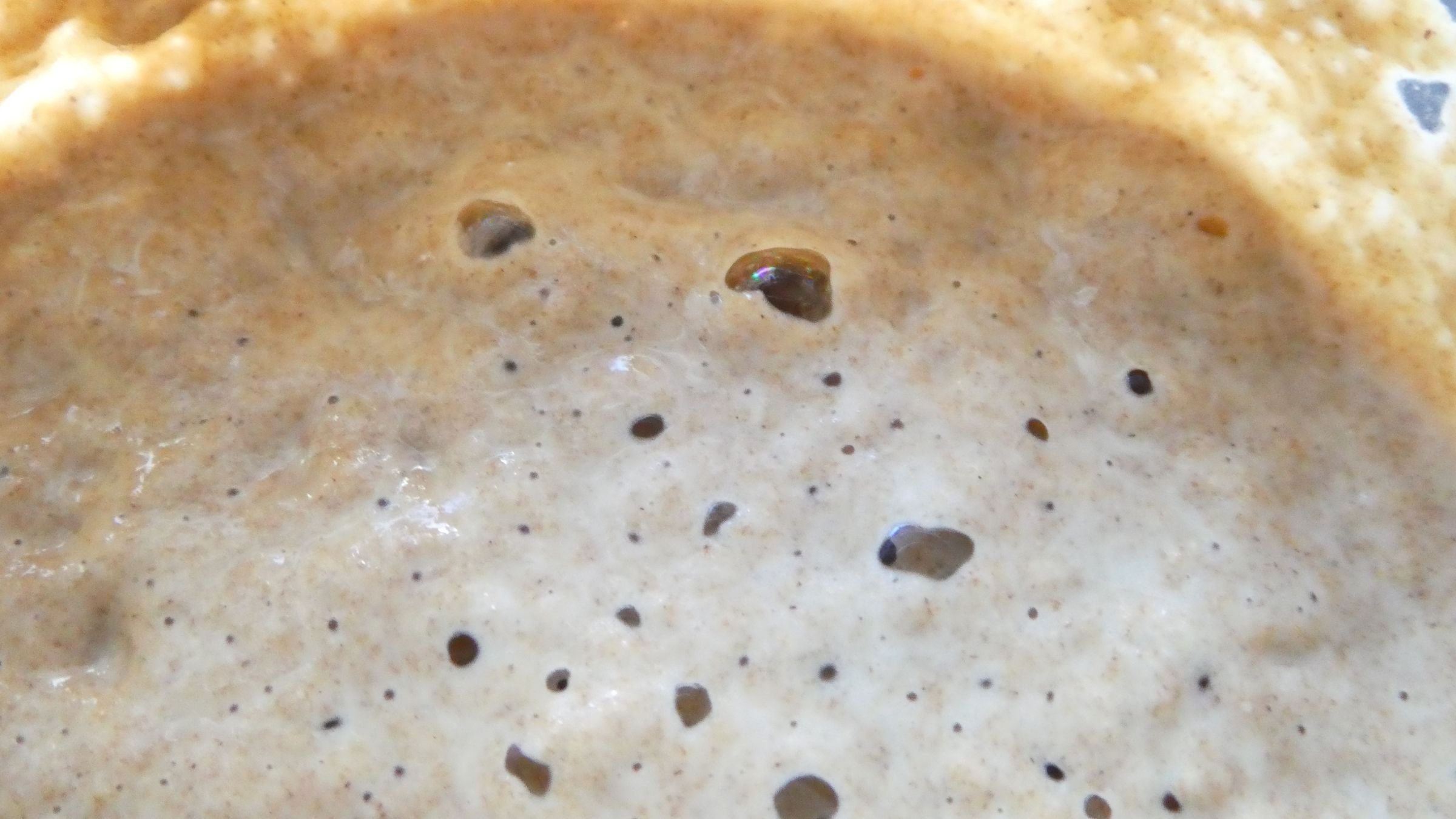 Pure Rye Bread : 31 Steps (with Pictures) - Instructables