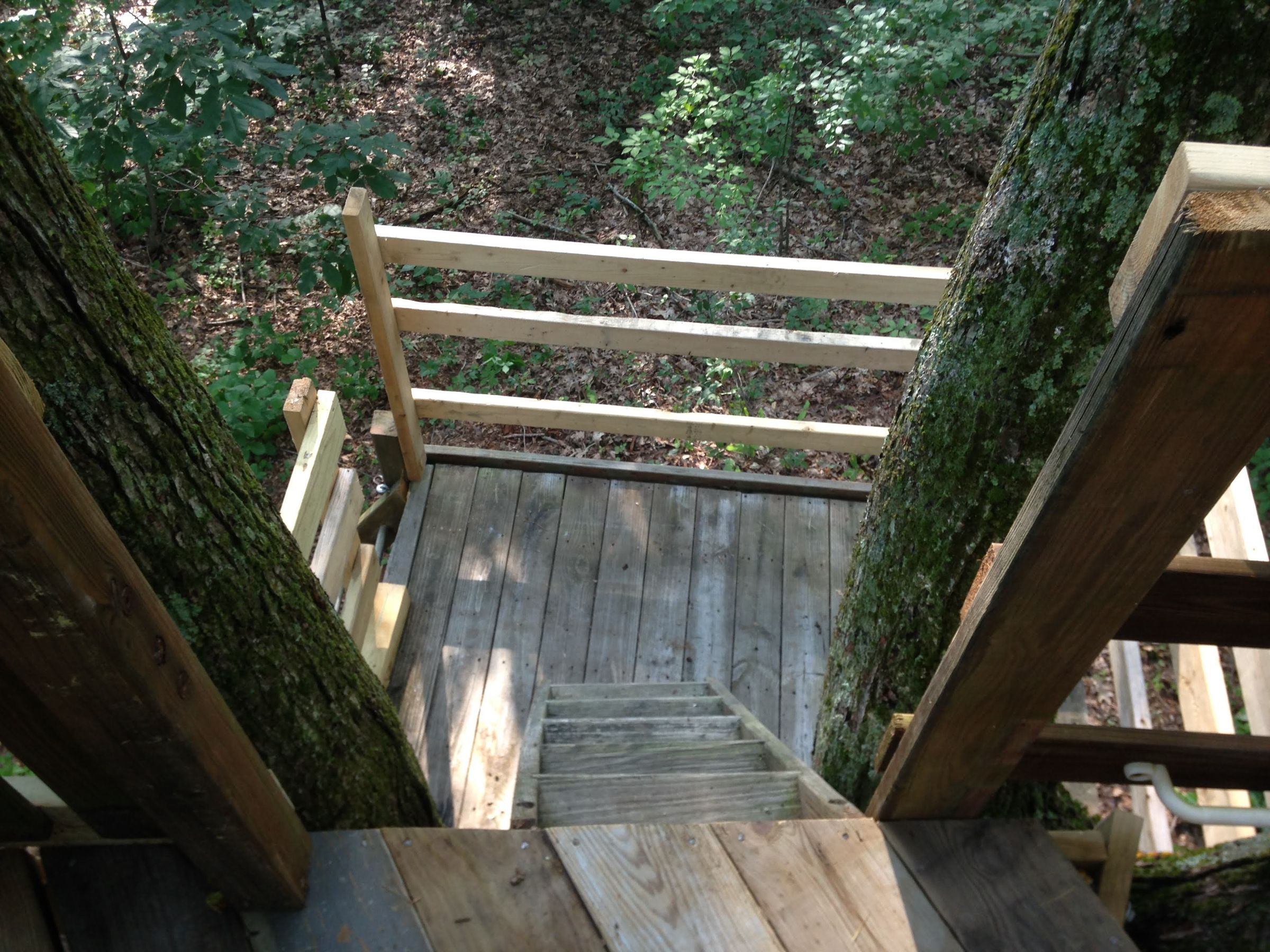 Multi Level Tree House From Recycled Materials : 10 Steps (with ...