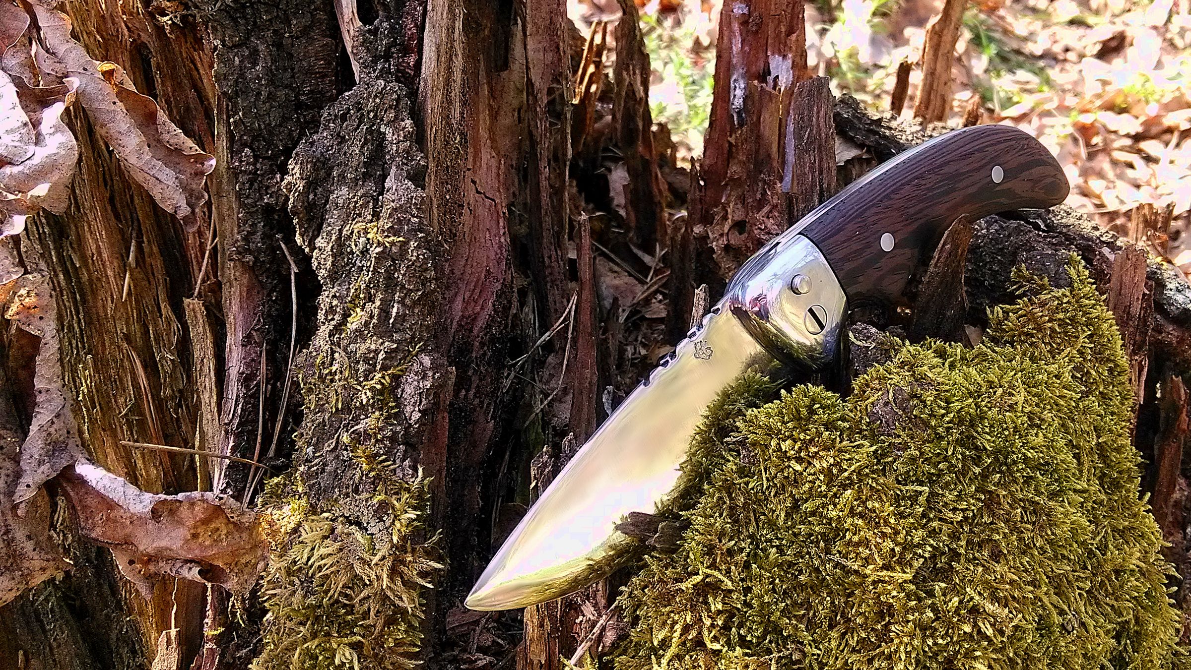 DIY Folding Knife With Button Lock : 11 Steps (with Pictures ...