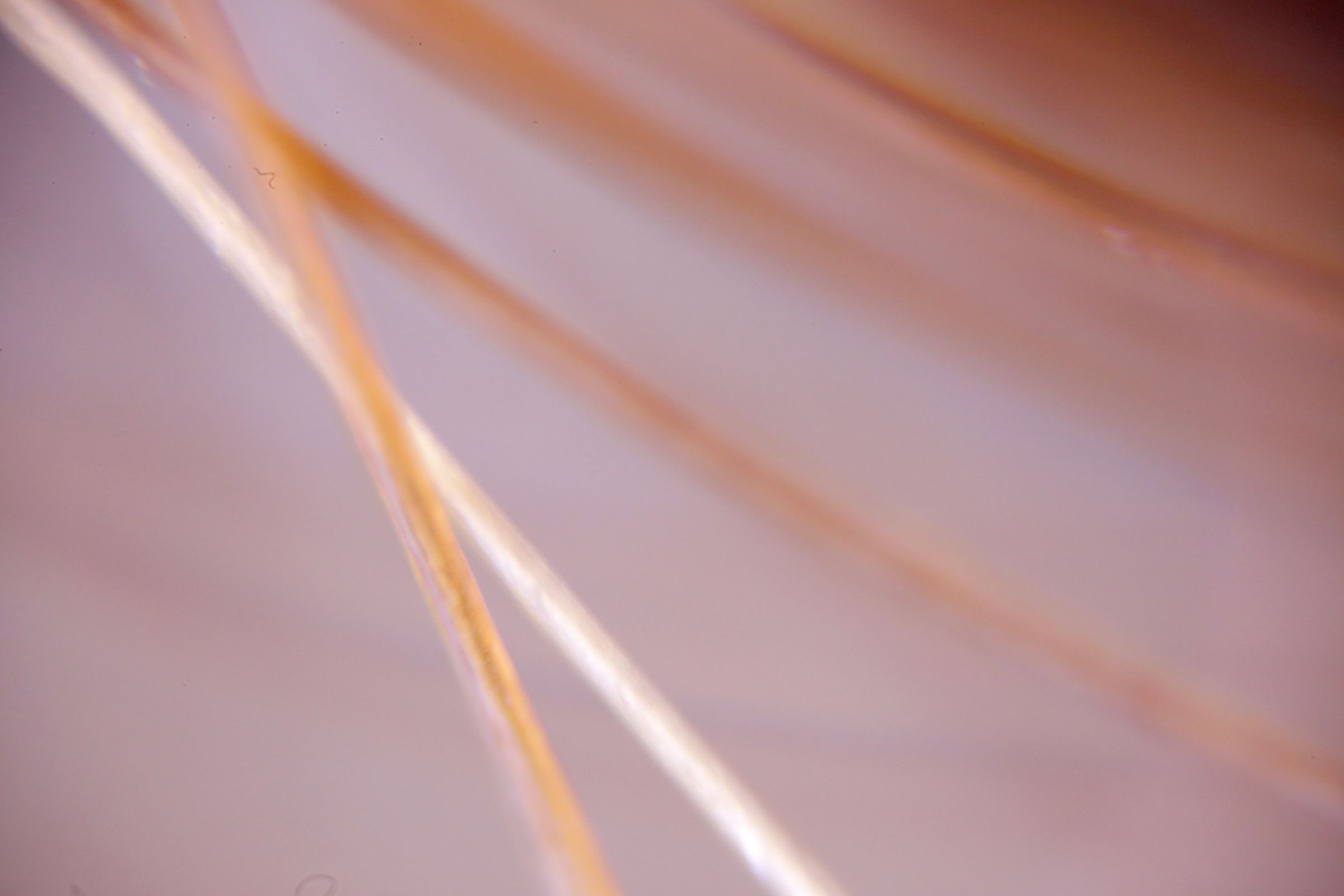 DSLR Microphotography : 12 Steps (with Pictures) - Instructables