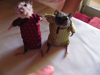 Mouse Taxidermy : 27 Steps (with Pictures) - Instructables