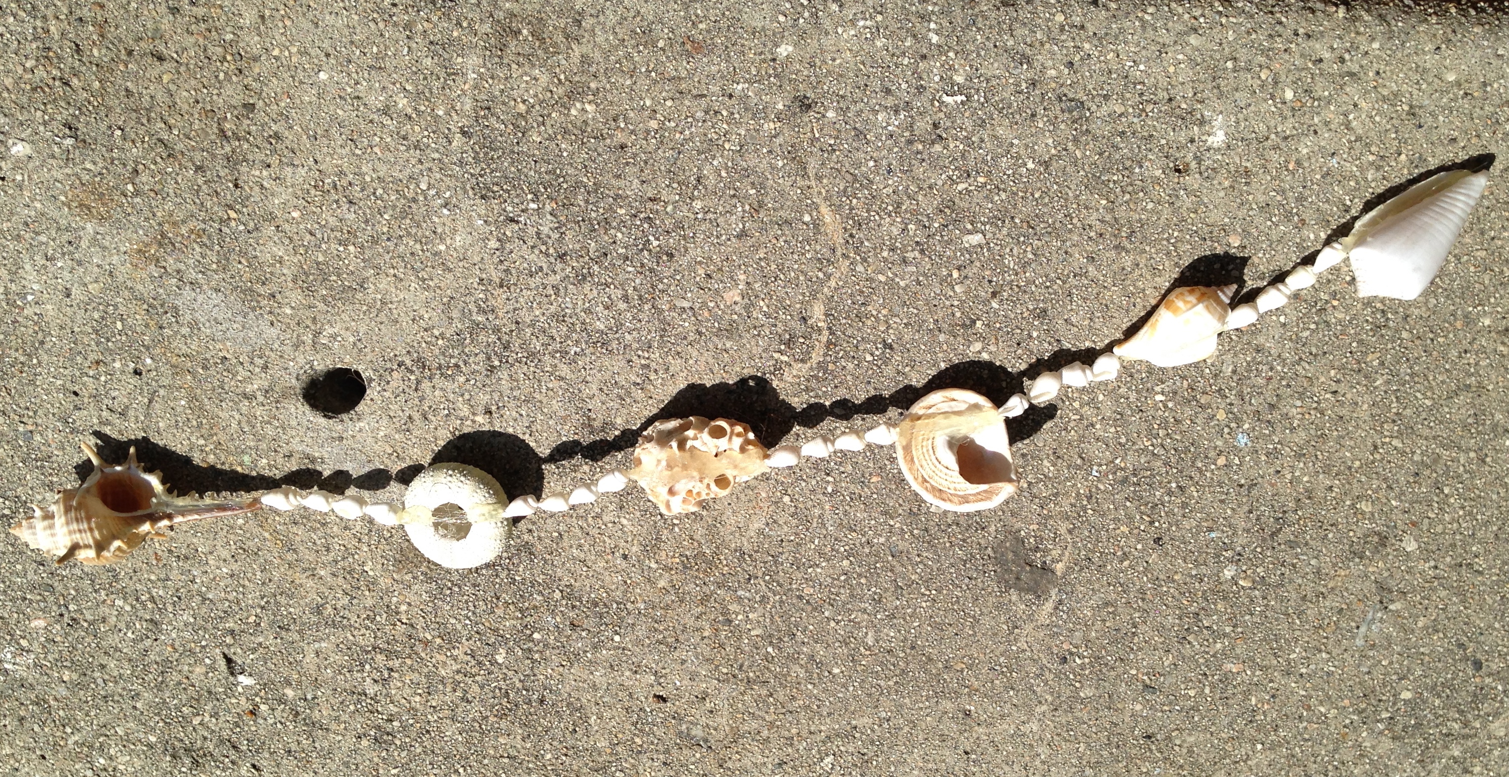 Sea Shell Mobile : 6 Steps - Instructables