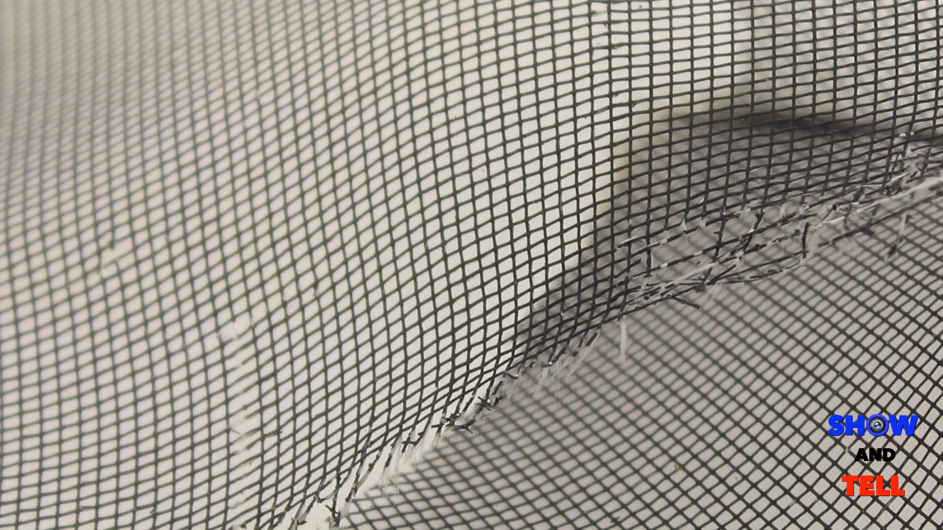 How to Make an Ovitrap Mosquito Trap : 12 Steps (with Pictures ...