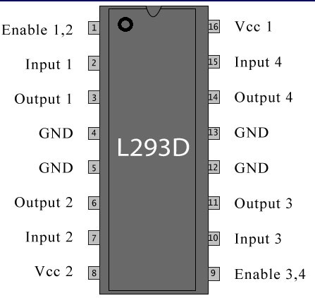 Arduino With Dual Motor Tank Coded in TinkerCad Codeblocks and L293D ...