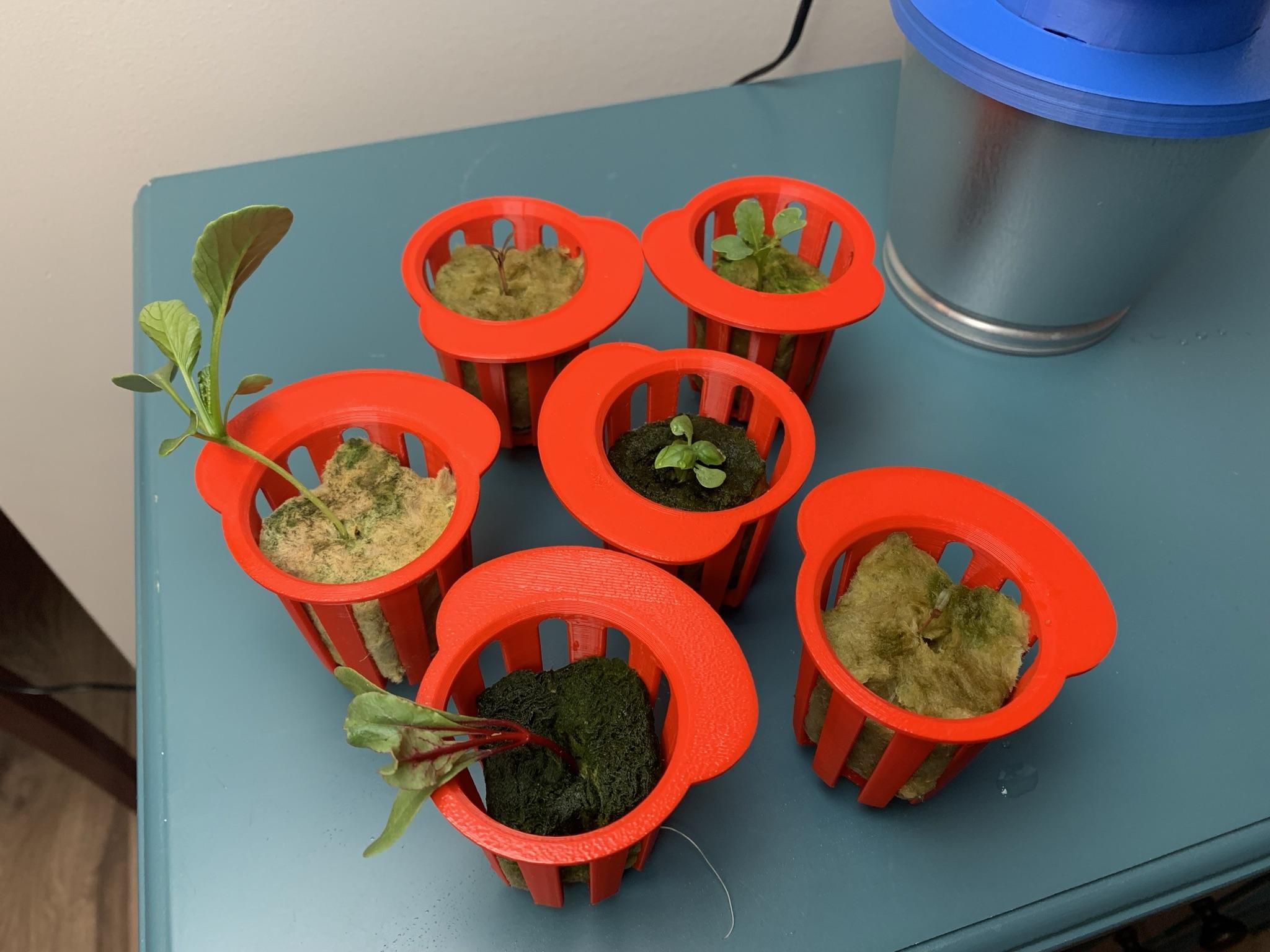 DESKTOP HYDROPONIC TOWER : 5 Steps (with Pictures) - Instructables
