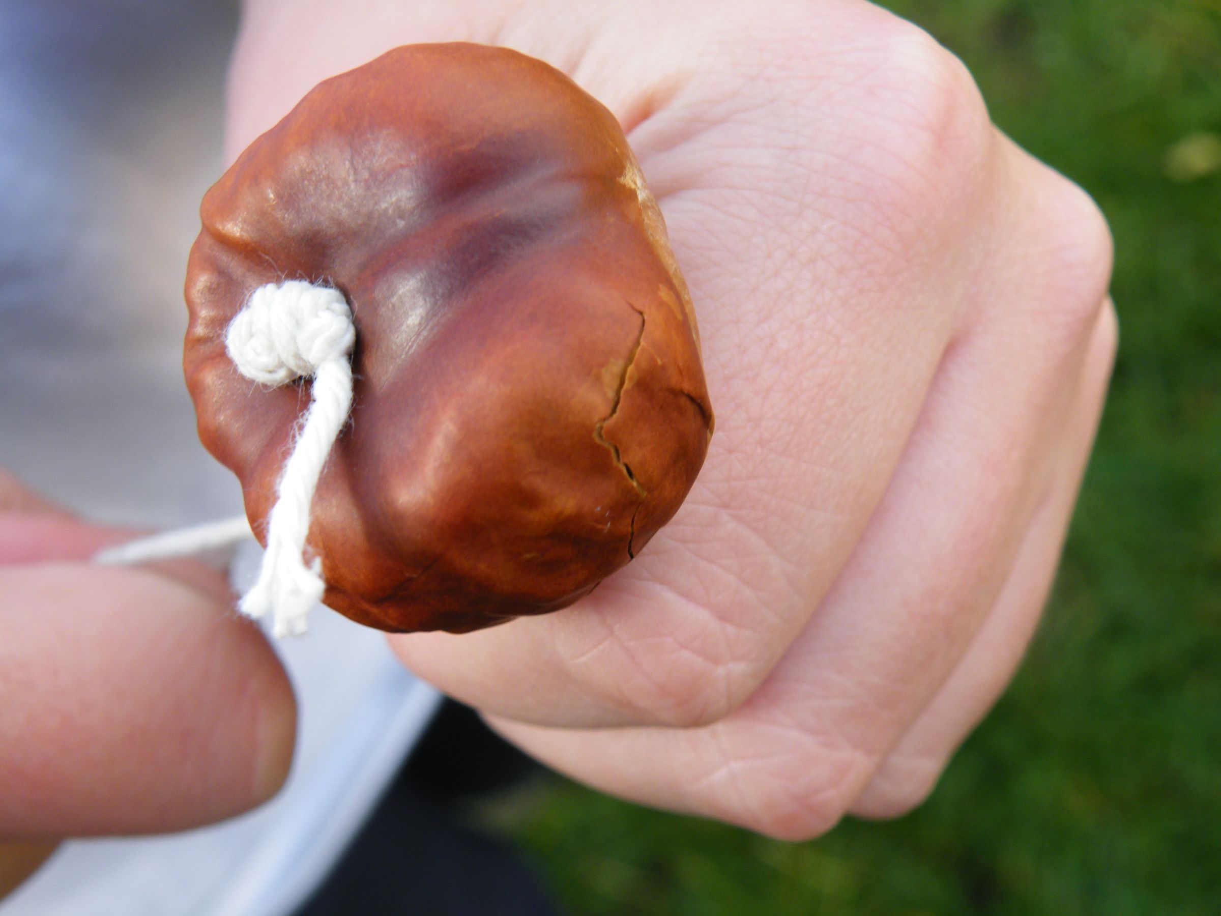 How to Play Conkers. : 7 Steps (with Pictures) - Instructables