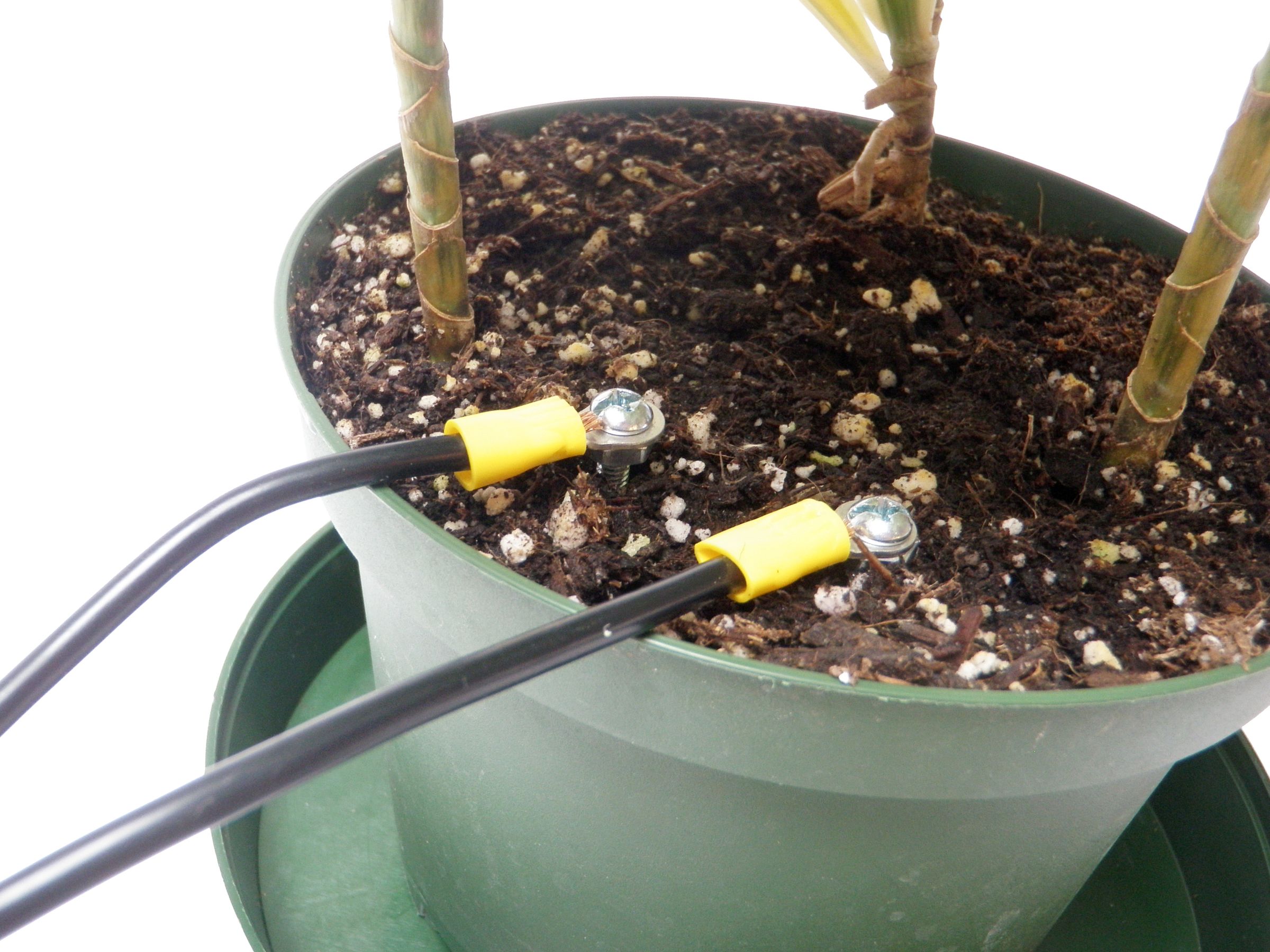 Self-Watering Plant : 31 Steps (with Pictures) - Instructables