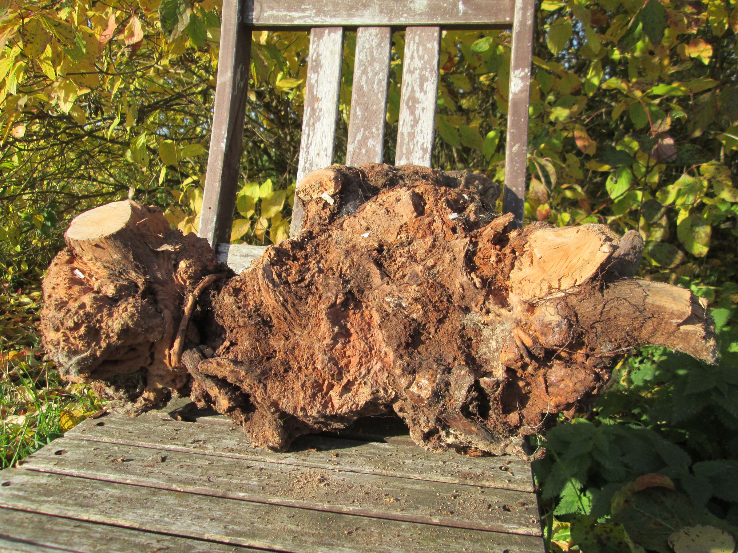 Briar Smoking Pipe / Bowl : 12 Steps (with Pictures) - Instructables