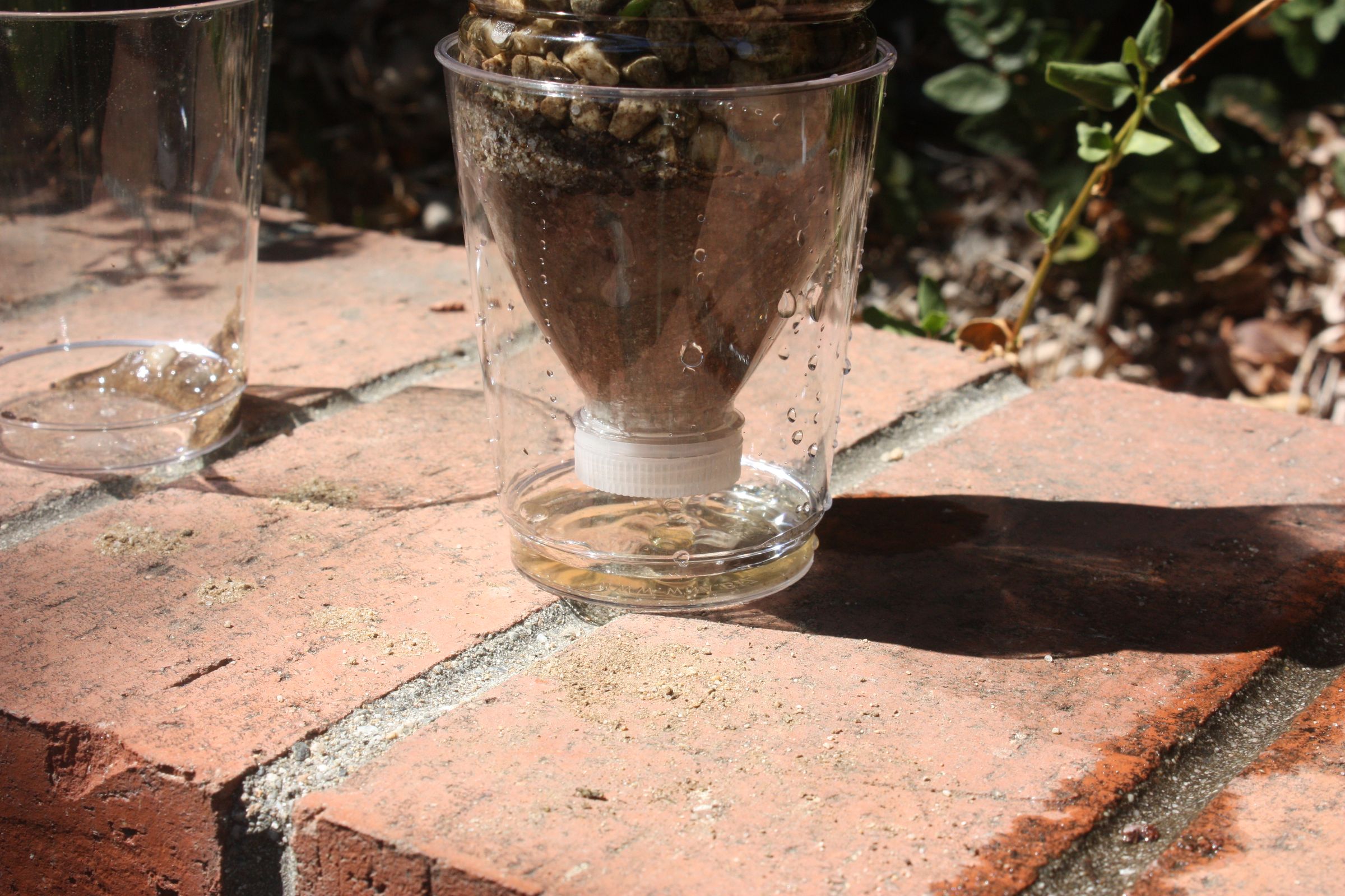 Simple Water Filter Out of a Waterbottle : 7 Steps (with Pictures ...