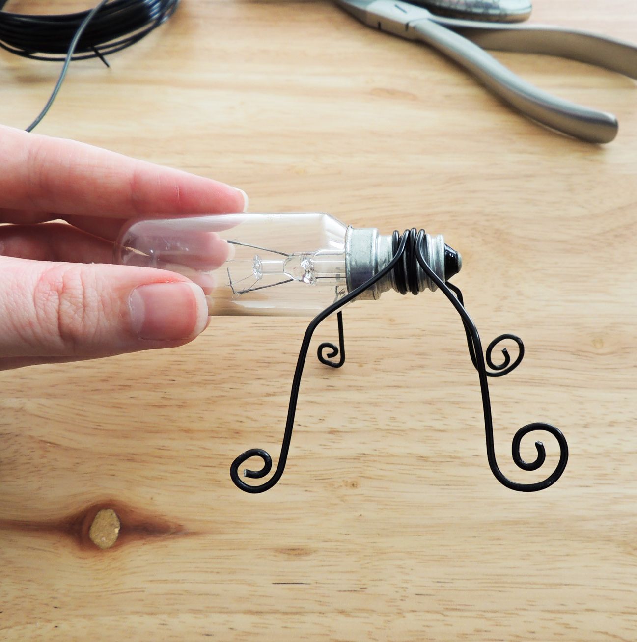 DIY Light Bulb Bugs : 6 Steps (with Pictures) - Instructables