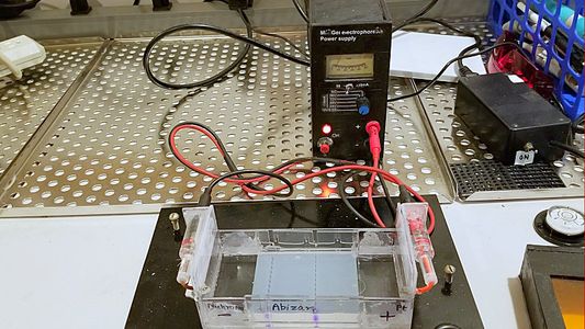 DIY Power Supply for Gel Electrophoresis : 10 Steps (with Pictures ...