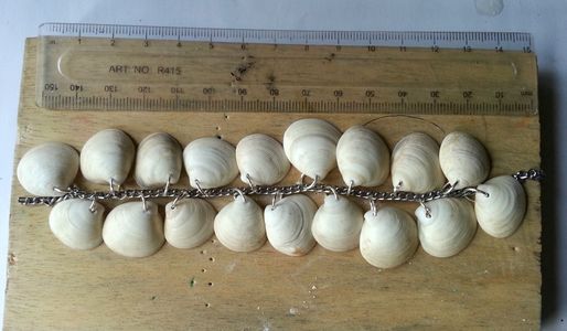 DIY Sea Shell Bracelet : 5 Steps (with Pictures) - Instructables