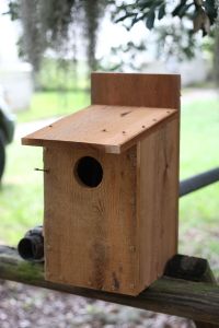 American Kestrel Nest Box : 22 Steps (with Pictures) - Instructables