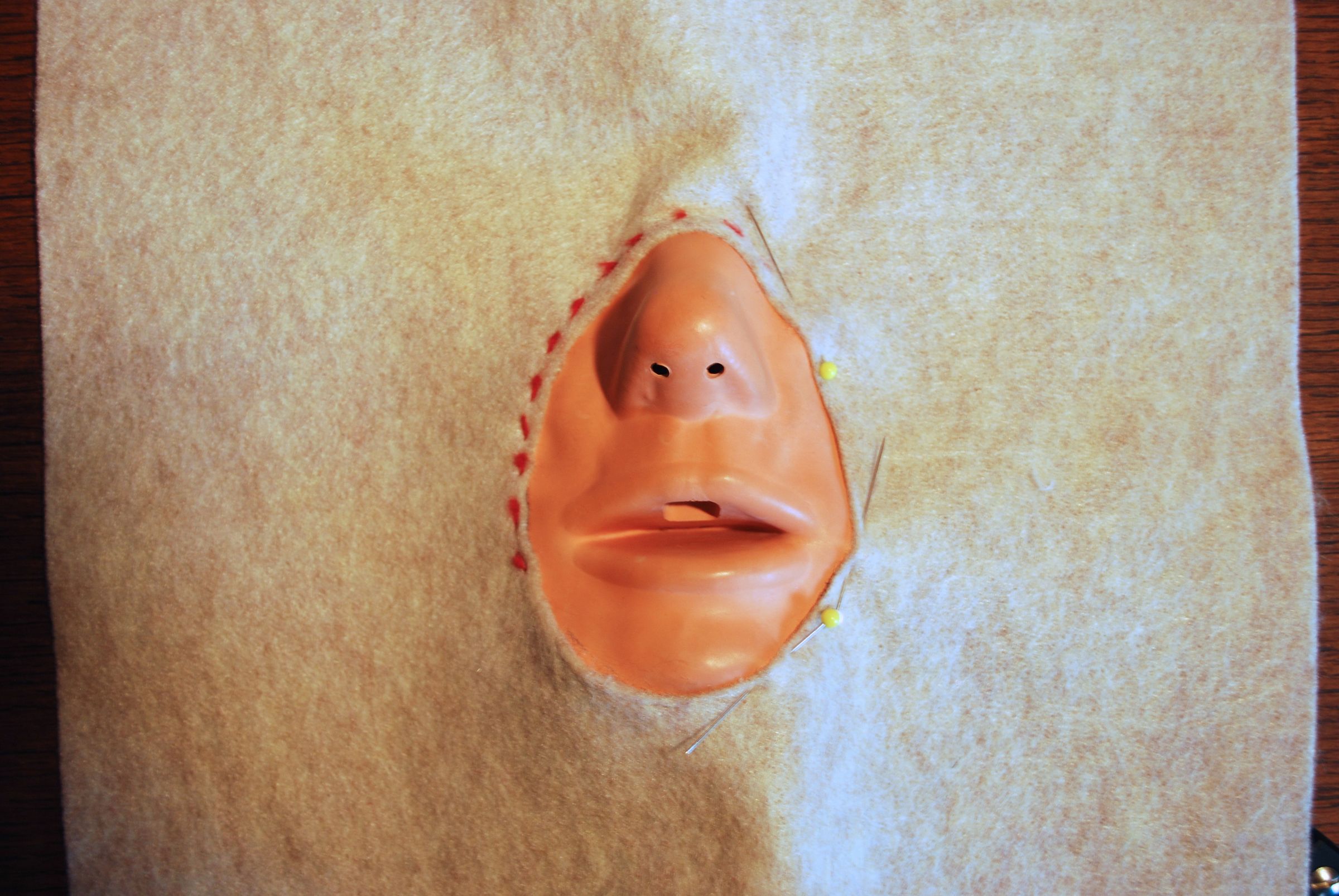 Make-Out Practice Pillow for Valentine's Day : 5 Steps (with Pictures ...