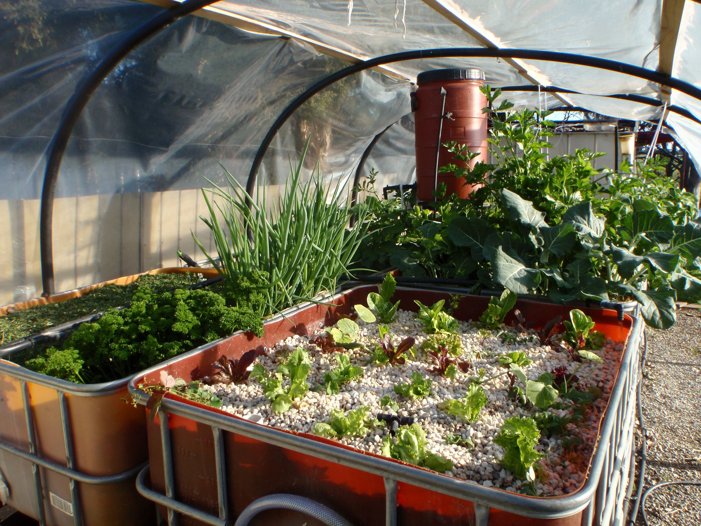 Vermiponic Garden : 12 Steps (with Pictures) - Instructables