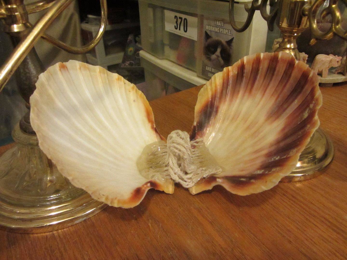 DIY Mermaid Shell Bra : 5 Steps (with Pictures) - Instructables