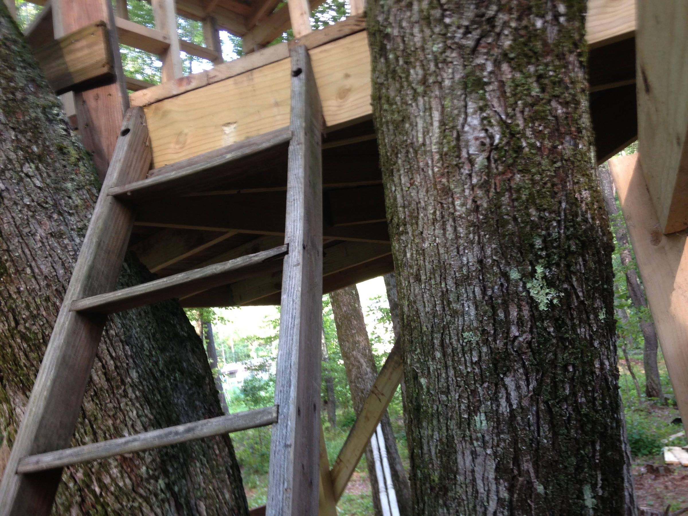Multi Level Tree House From Recycled Materials : 10 Steps (with ...
