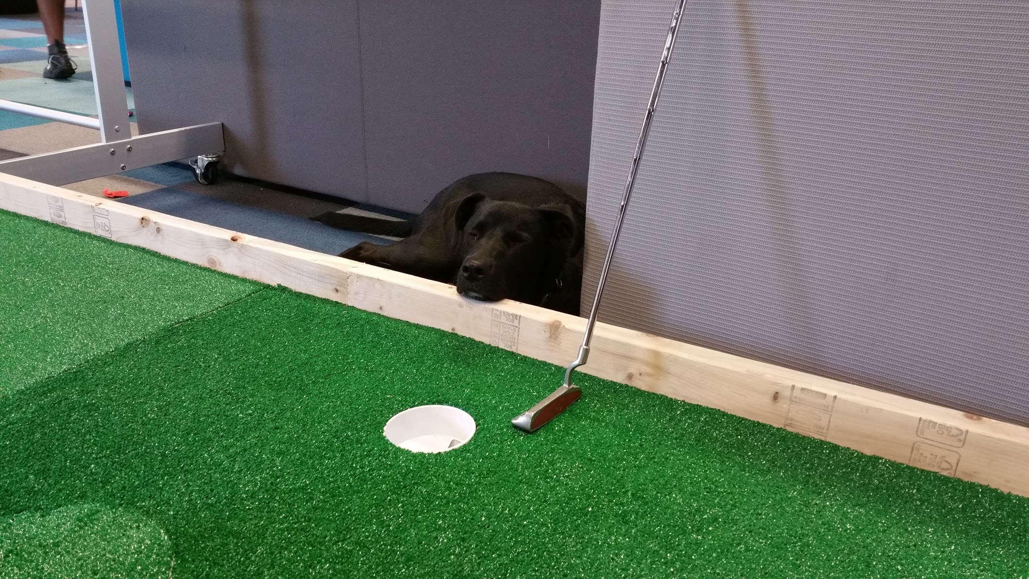 Modular Mini Golf Course : 8 Steps (with Pictures) - Instructables