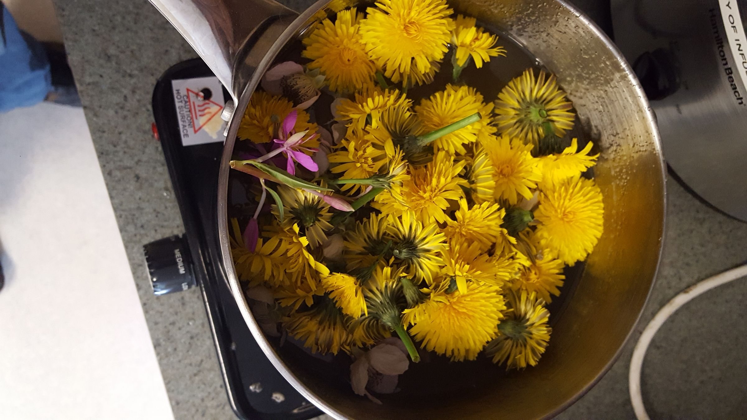 Honey Bee Syrup (with Pictures) - Instructables