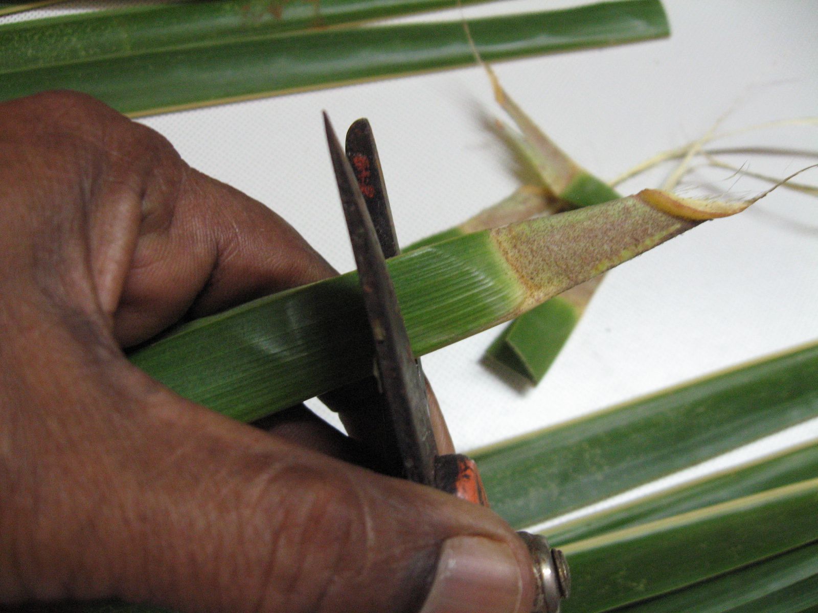 How to Weave a Small Mat From Coconut Leaves : 4 Steps (with Pictures ...