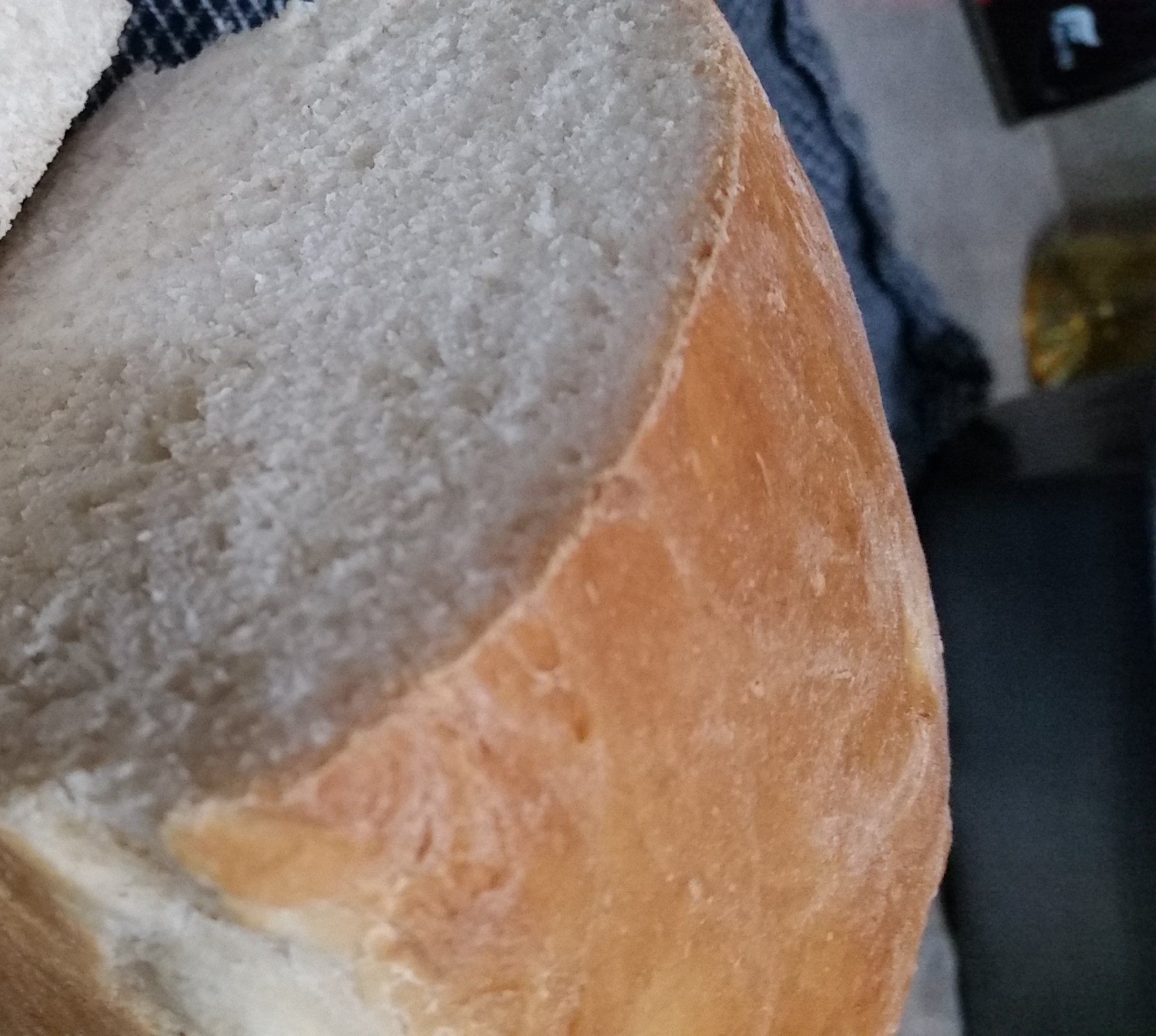 Bread in a Bag in 4 Easy Steps : 4 Steps (with Pictures) - Instructables