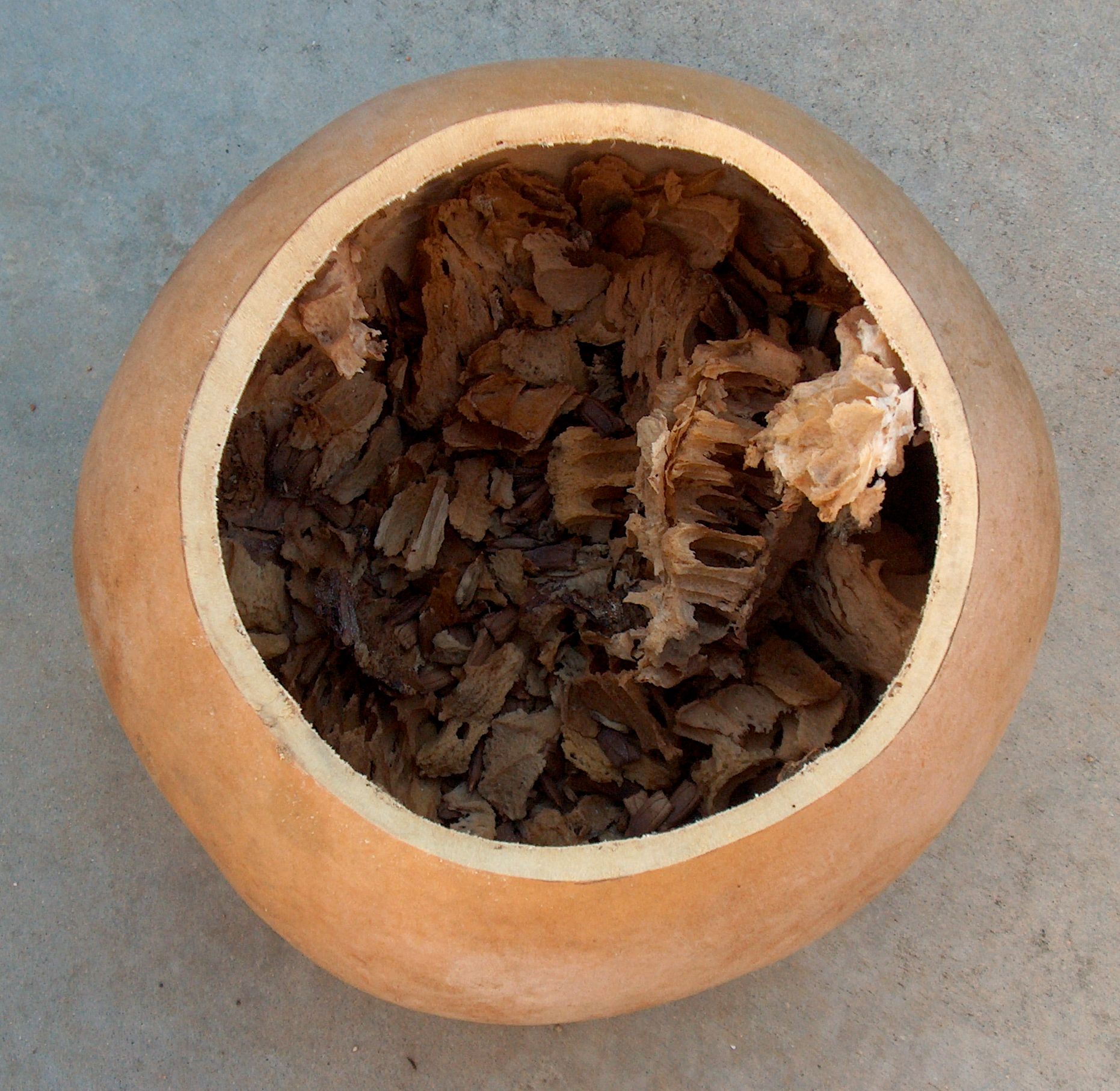How to Clean a Hardshell Gourd : 3 Steps (with Pictures) - Instructables