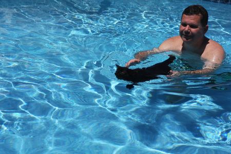 How to Teach a Cat to Swim. : 8 Steps (with Pictures) - Instructables
