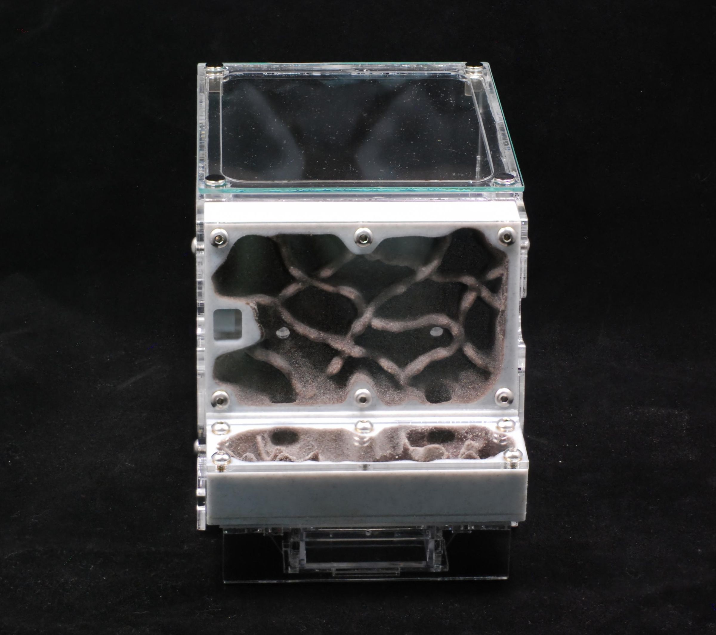 Medium Modular Formicarium (Ant Farm) : 18 Steps (with Pictures ...
