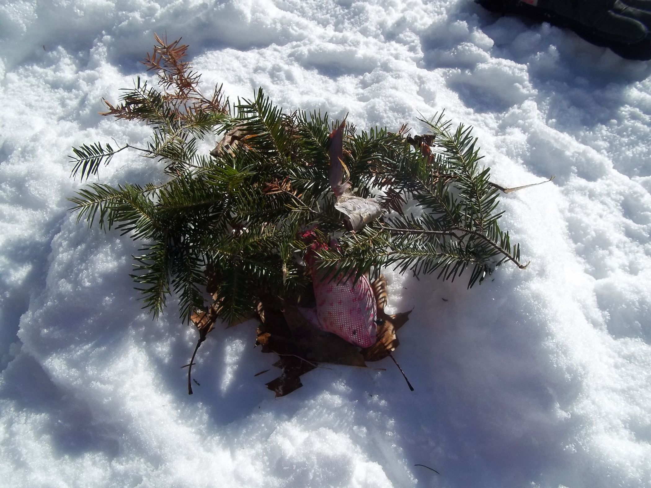 How to Make a Snow Shelter : 5 Steps - Instructables